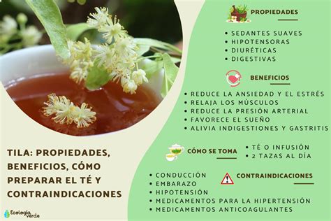 Tila Propiedades Beneficios Cómo Preparar El Té Y Contraindicaciones