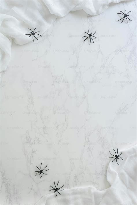 A White Sheet With Black Spider Webs On It Photo Spider Image On Unsplash