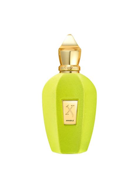Amabile Xerjoff perfume - a new fragrance for women and men 2020