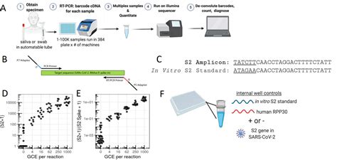 swab seq a high throughput platform for massively scaled up sars cov
