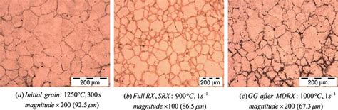 Microstructure Variation For Determining Equations Of Recrystallized