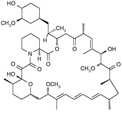Rapamycin Frap Mtor Inhibitor Cas 53123 88 9 United States