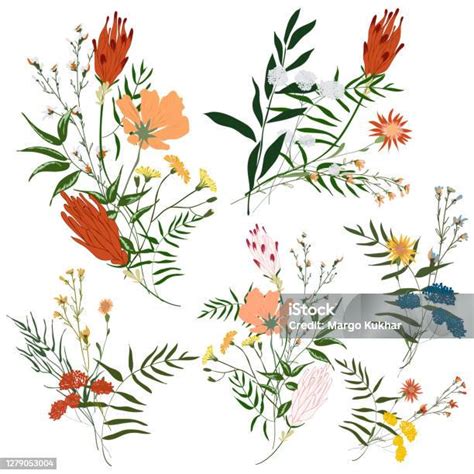 手描きの花のコレクション花束の畑や牧草地から様々な花大きなセット植物の枝葉葉ハーブ野生の植物白い背景に分離されたブルームベクトルのイラスト