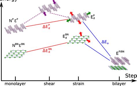 Schematic Representation Of The Steps From Isolated Monolayers To The