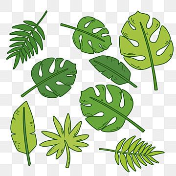 Png Pngtree