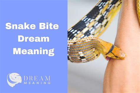 Snake Bite Dream Meaning Uncovering The Hidden Messages In Your Dreams