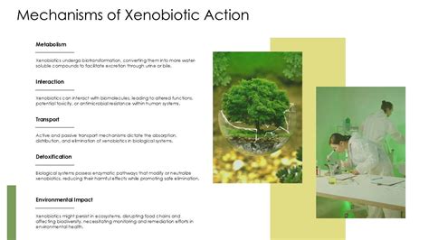 Xenobiotics Foreign Substances Body Environmental Ppt Sample St Ai Ppt
