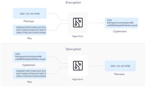 Securing Sensitive Data Why Encryption Isnt Enough Skyflow