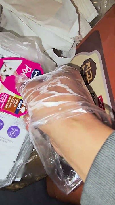 차 속에 맛있는 사료랑 간식이 있는 걸 알고 아기 고양이가 차에 타요 Youtube