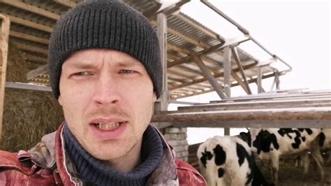 Результаты содержания коров загоне в зимний период Смотреть онлайн