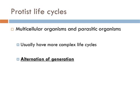 The Eukaryotes Ppt Download