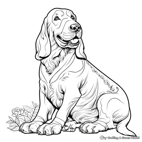 Basset Hound Coloring Pages Free And Printable
