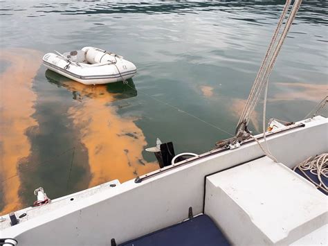 David James Hendy Art