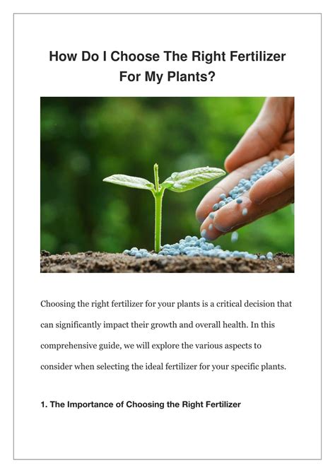 PPT How Do I Choose The Right Fertilizer For My Plants PowerPoint Presentation ID 12625705