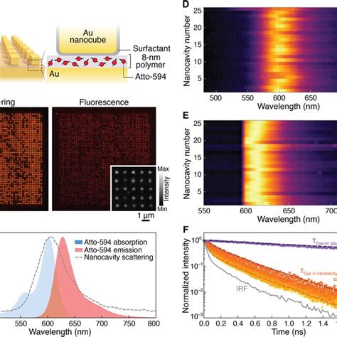 Emitter Integrated Plasmonic Nanocavity Arrays Using Nanoparticle