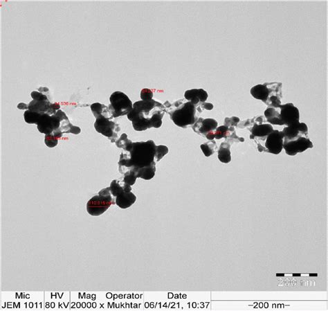 Tem Micrograph Of The Biofabricated Agnps Download Scientific Diagram