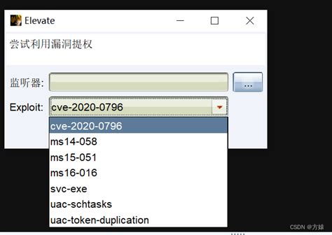 Cobalt Strikecs介绍，安装及初步使用学习笔记1kali运行cs Csdn博客