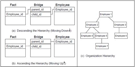 Just Like That Datawarehouse Dimensional Modeling Unveiling Bridge Tables Using Examples