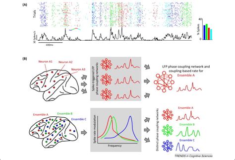Insights About Population Coding From Joint Analysis Of Spiking Download Scientific Diagram