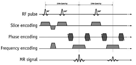 Fast Spin Echo Sequence Download Scientific Diagram