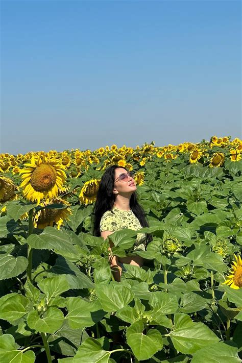 Wonderful Irina 29 Y O From Cherkassy With Dark Brown Hair ID