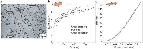 Toughening Of Ceramics And Ceramic Composites Through Microstructure