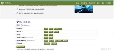 支付宝支付沙箱实验【入门保姆级教程，附有图文 示例代码】 支付宝沙箱支付实现 csdn博客