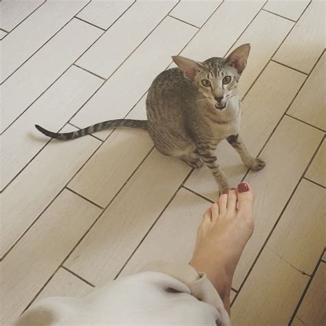 Katya Shemyakinas Feet