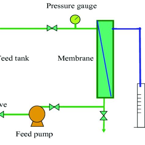 Schematic Process Of Normalized Water Permeability Download