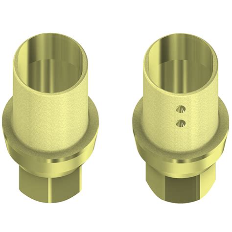 Interface Elliptibase Avec Vis Compatible Biohorizons® Internal Protetik