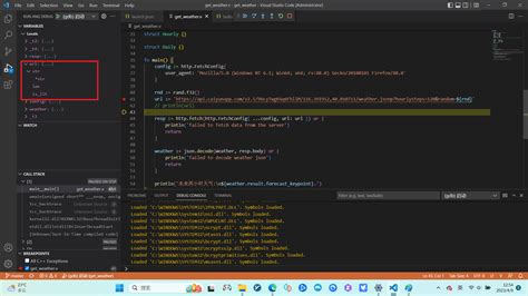 There Is No Variable Value Shown In Vscode Debug · Vlang V · Discussion