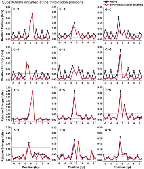 entropies in native and synonymous codon shuffled datasets on the