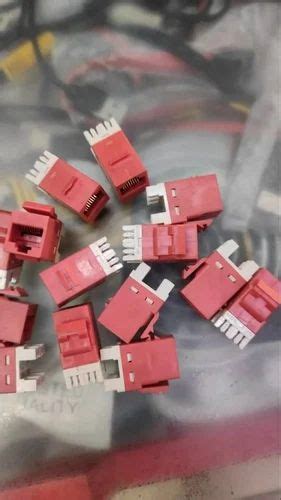 Cat 6 Jack At ₹ 35 Piece In New Delhi Id 2855632055355