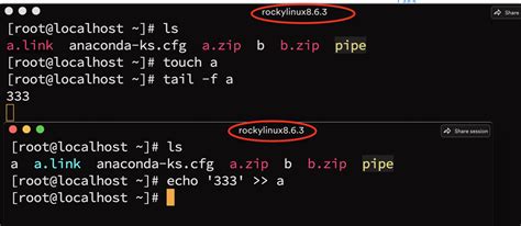 Linux常用的查看文本内容的命令有哪些（linux常用命令详解） 不念博客