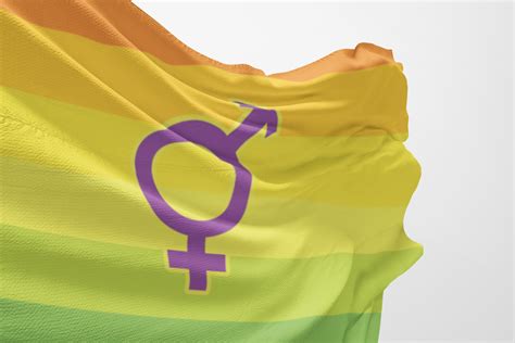 Hermaphrodite Pride Flag Ft X Ft Premium Flag THE PRIDE SHOP