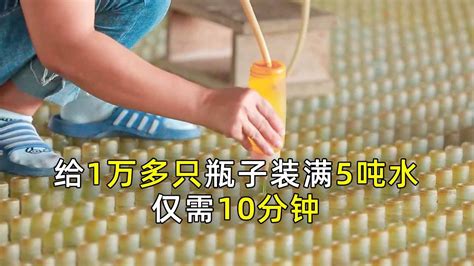 养殖斗鱼只有公斗鱼才有资格进入这种瓶子 YouTube