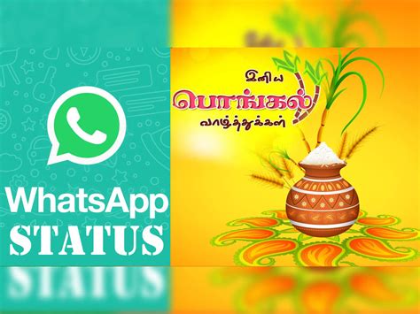 Top 999 Pongal Wishes Images In Tamil Amazing Collection Pongal