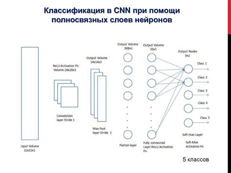 Сверточные нейронные сети презентация онлайн