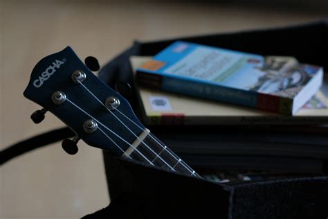 Gratis Afbeeldingen Vakantie Frankrijk Muziek Ukulele Vrije Tijd