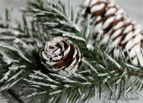 DIY Snow Covered Branches And Pine Cones Pine Cones Christmas Pine