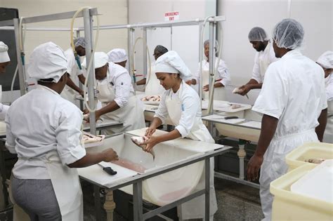 Fin Fish Handling And Processing Module 101 Caribbean Fisheries
