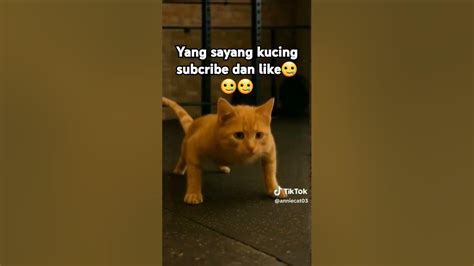 Ibtiktok Fypシ゚viral