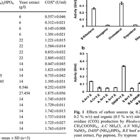 Central Composite Design Levels Download Table