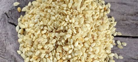 Where Do Sesame Seeds Come From Answered