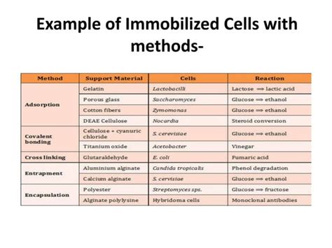 Enzymeimmobilizationpptxmxn Vnadnvadjsjcbx Ppt