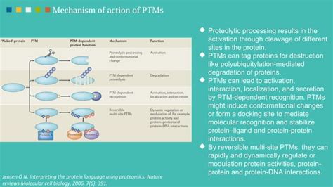 Brief Introduction Of Post Translational Modifications Ptms