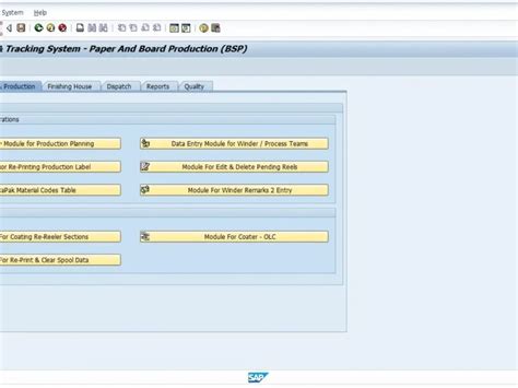 a sap abap development and sap consultation upwork