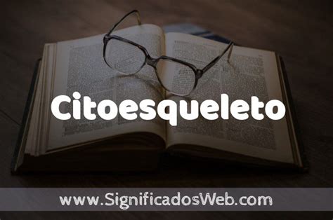 Significado De Citoesqueleto ️ Definición Y Concepto