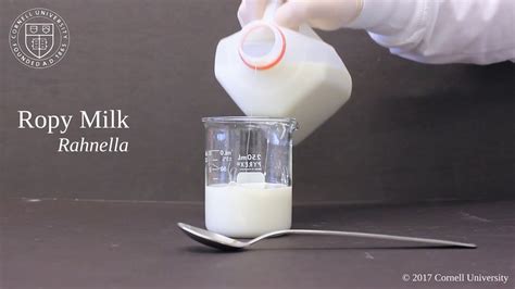 What Is Ropiness Of Milk At Suzanne Estrada Blog