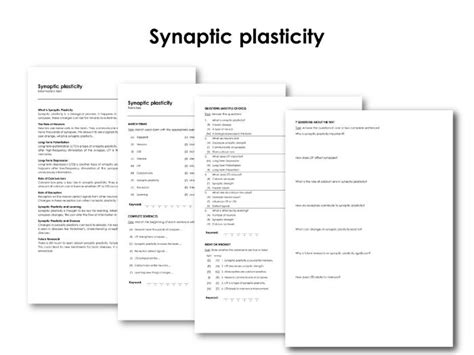 Synaptic Plasticity Teaching Resources